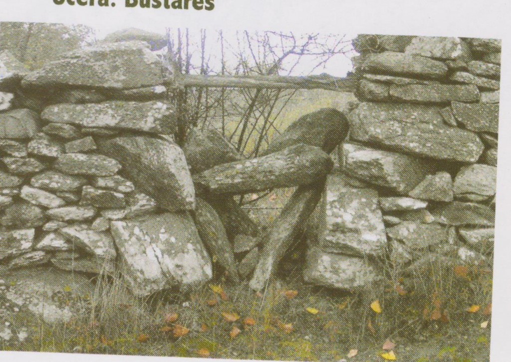 Ucera - Asociación Serranía de Guadalajara